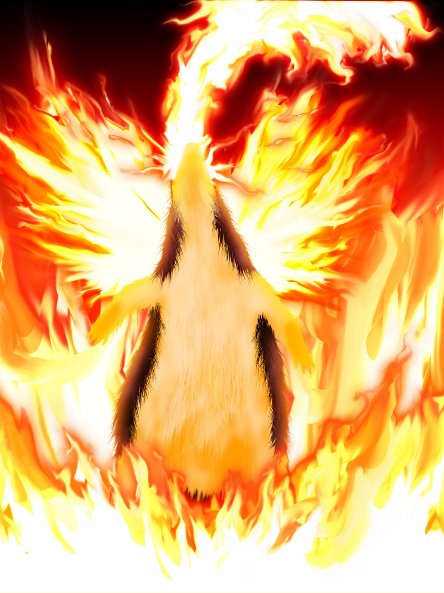 Pokemon Evolution Anime Totodile Feurigel Typhlosion - Cool Typhlosion ...