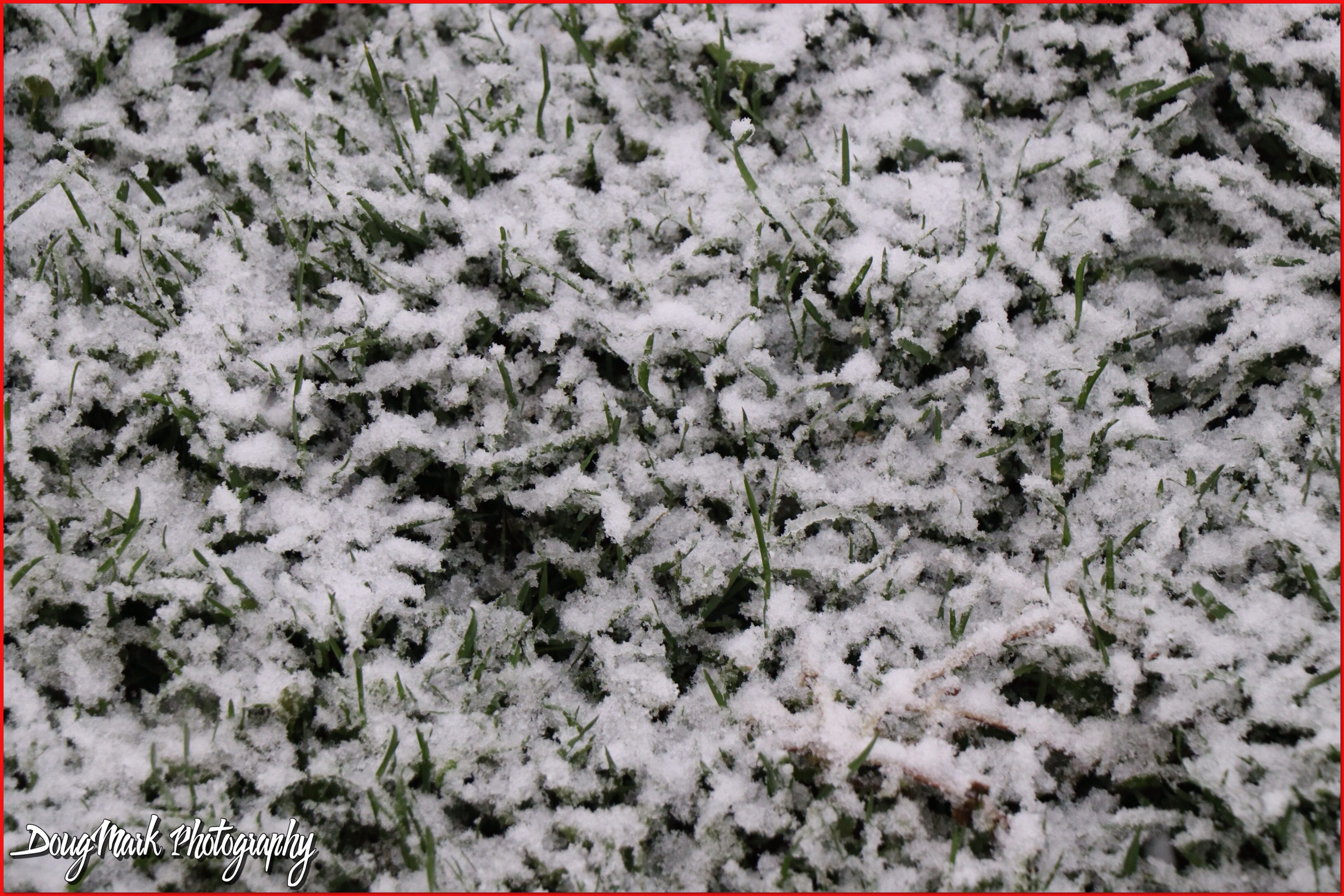 March Snow - (#1869613) - HD Wallpaper & Backgrounds Download