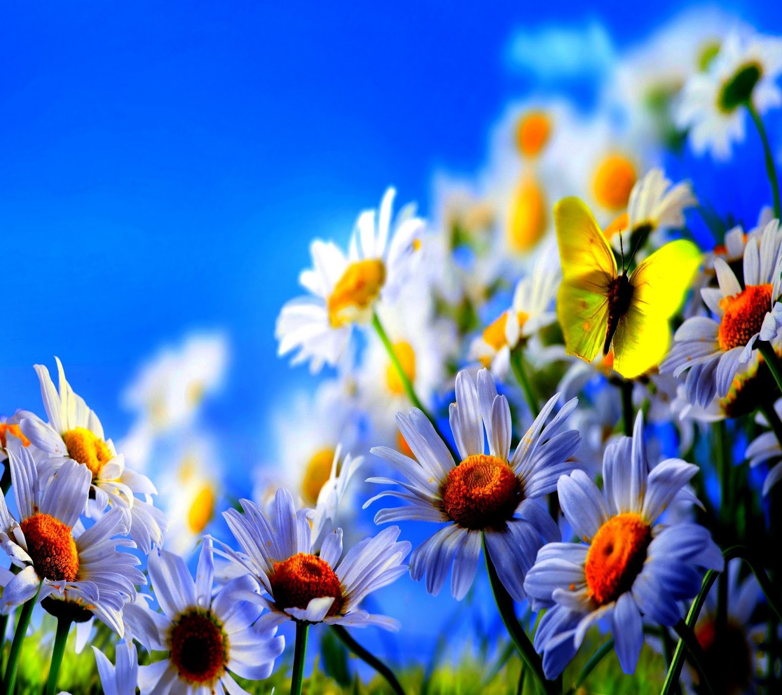 Best 31 Samsung Galaxy S4 Live Wallpaper Hd With 1600 - Spring Hd ...
