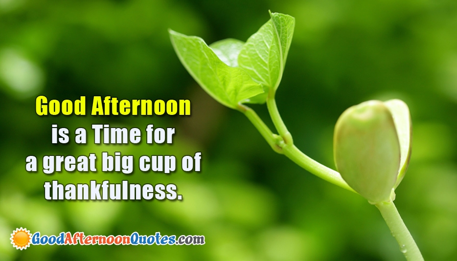 Good Noon Wallpaper (#1880375) - HD Wallpaper & Backgrounds Download