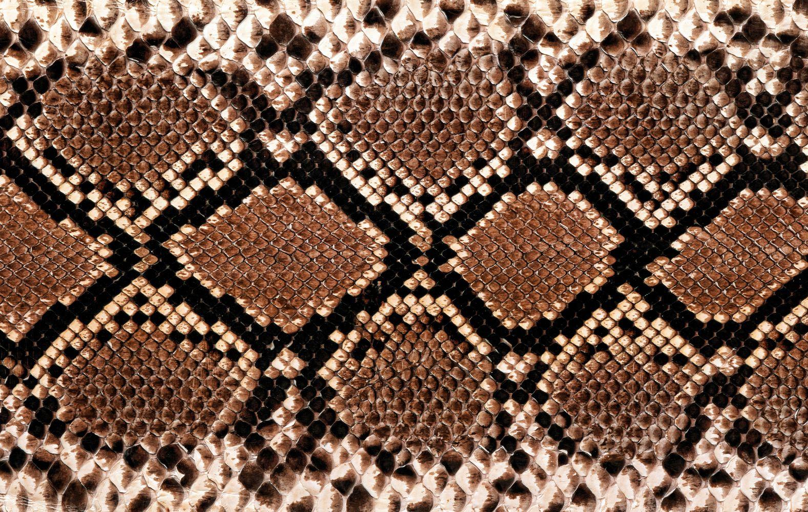 Animal Pattern Wallpaper - Rattlesnake Skin (#1888183) - HD Wallpaper ...