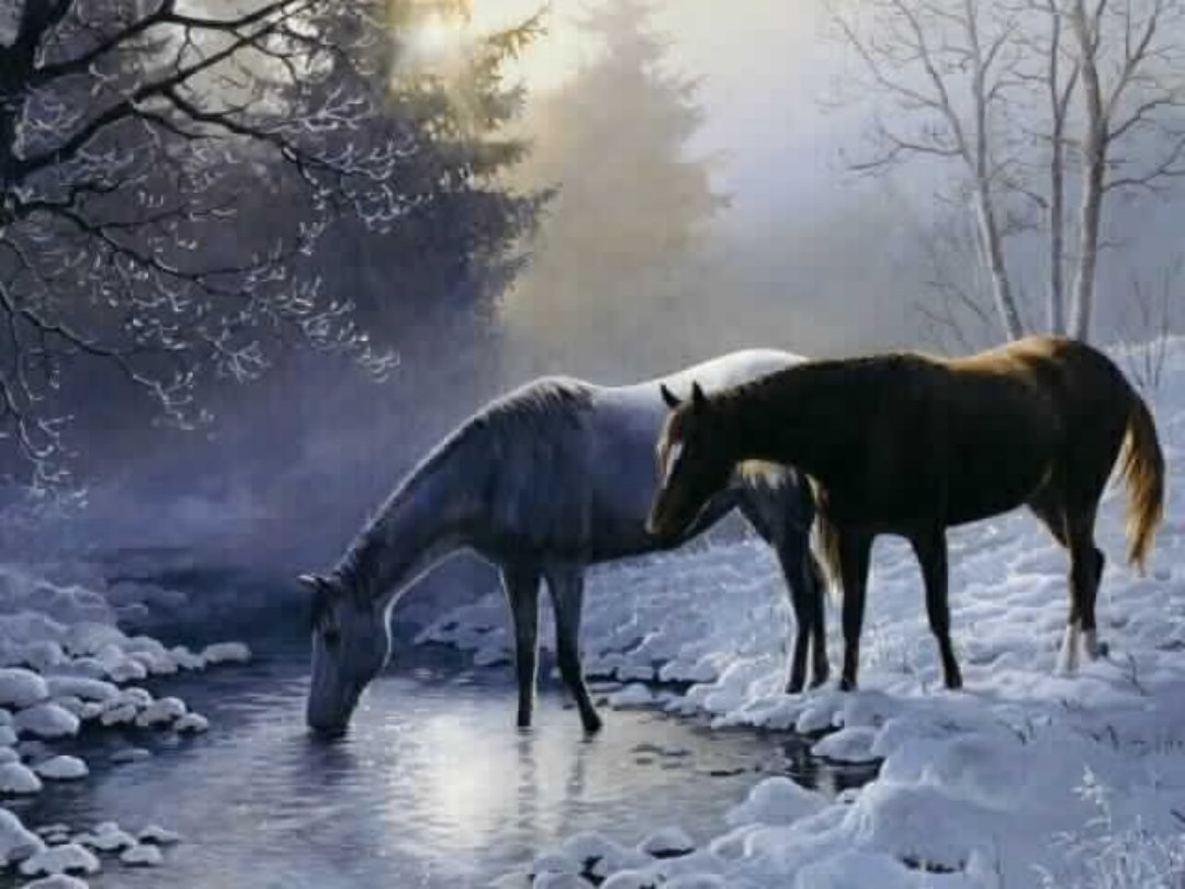 Horse Wallpaper Hd Free Download - Fond D Écran Chevaux (#1893011) - HD ...