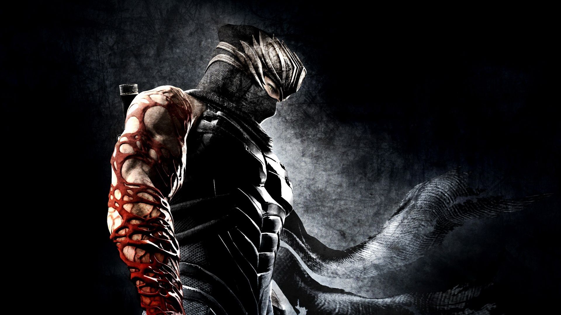 Hd Ninja Backgrounds - Ninja Gaiden 3 Razor's Edge (#190855) - HD Wallpaper & Backgrounds Download