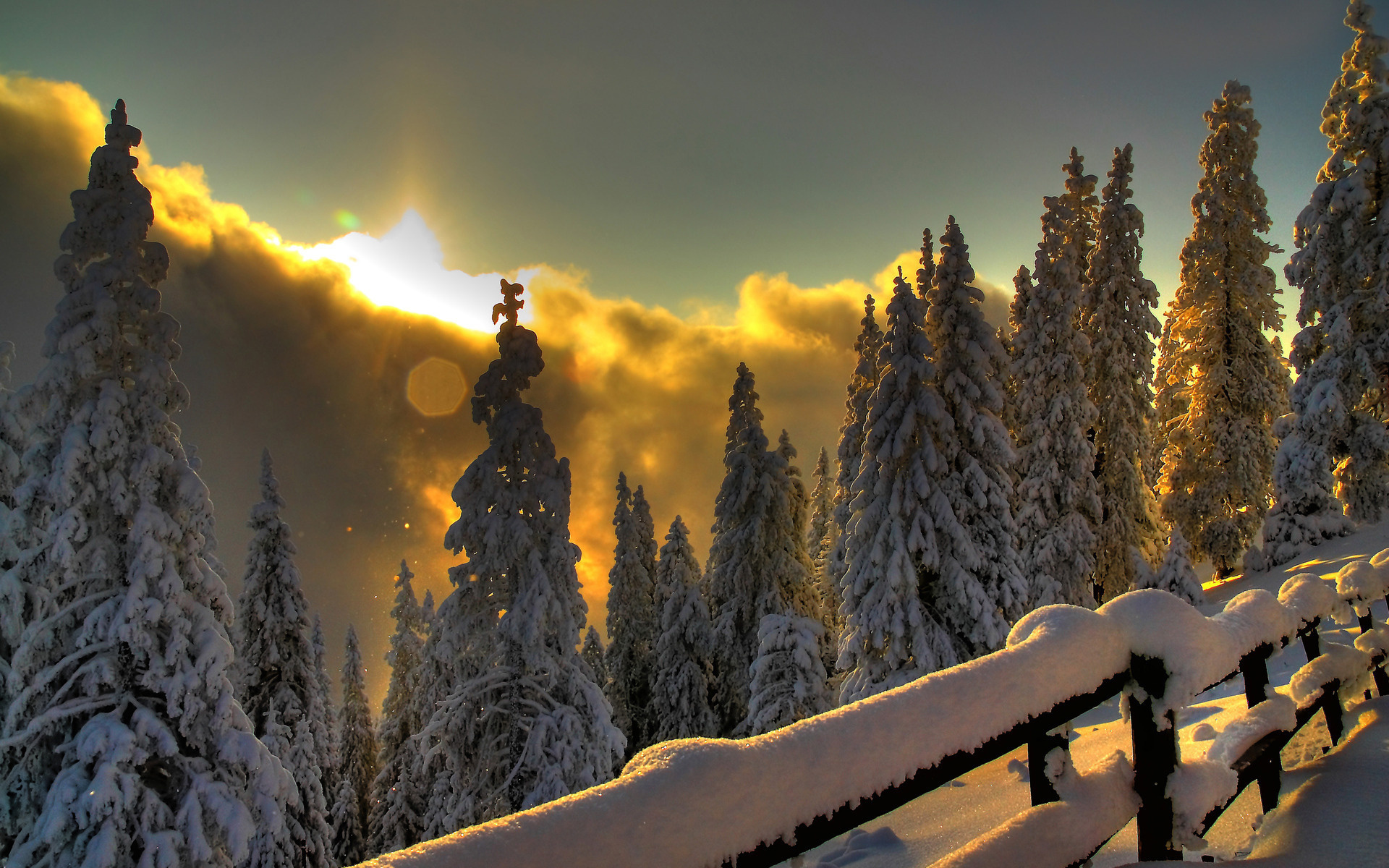 Winter Sun Widescreen Wallpaper - Nature Images 192 Pixels (#1902721 ...