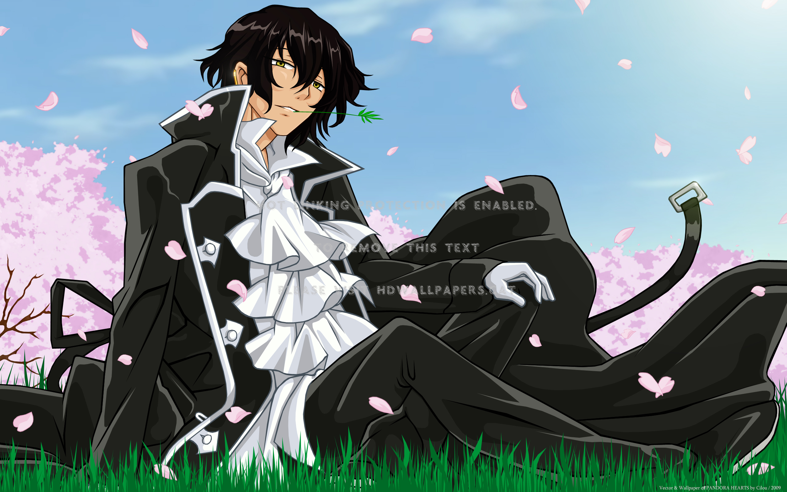 Gilbert Nightray Pandoras Hearts (#1909837) - HD Wallpaper ...