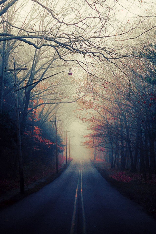 Roads Autumn Mobile Wallpaper - Kuch Dair Ki Khamoshi Hai (#1959439 ...