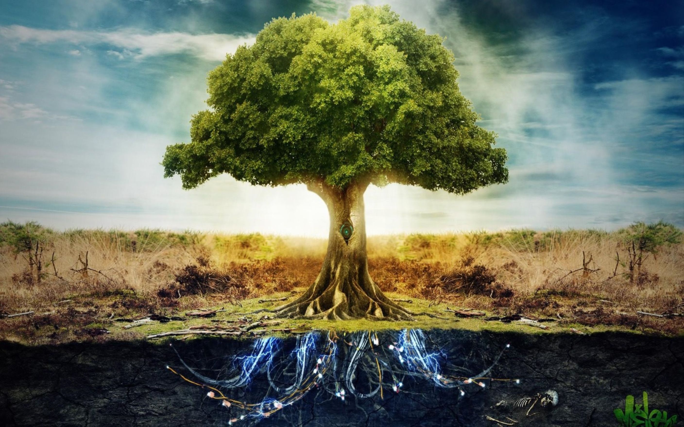 Electronic Tree Art Hd Wallpaper - Tree Of Life (#1976033) - HD ...