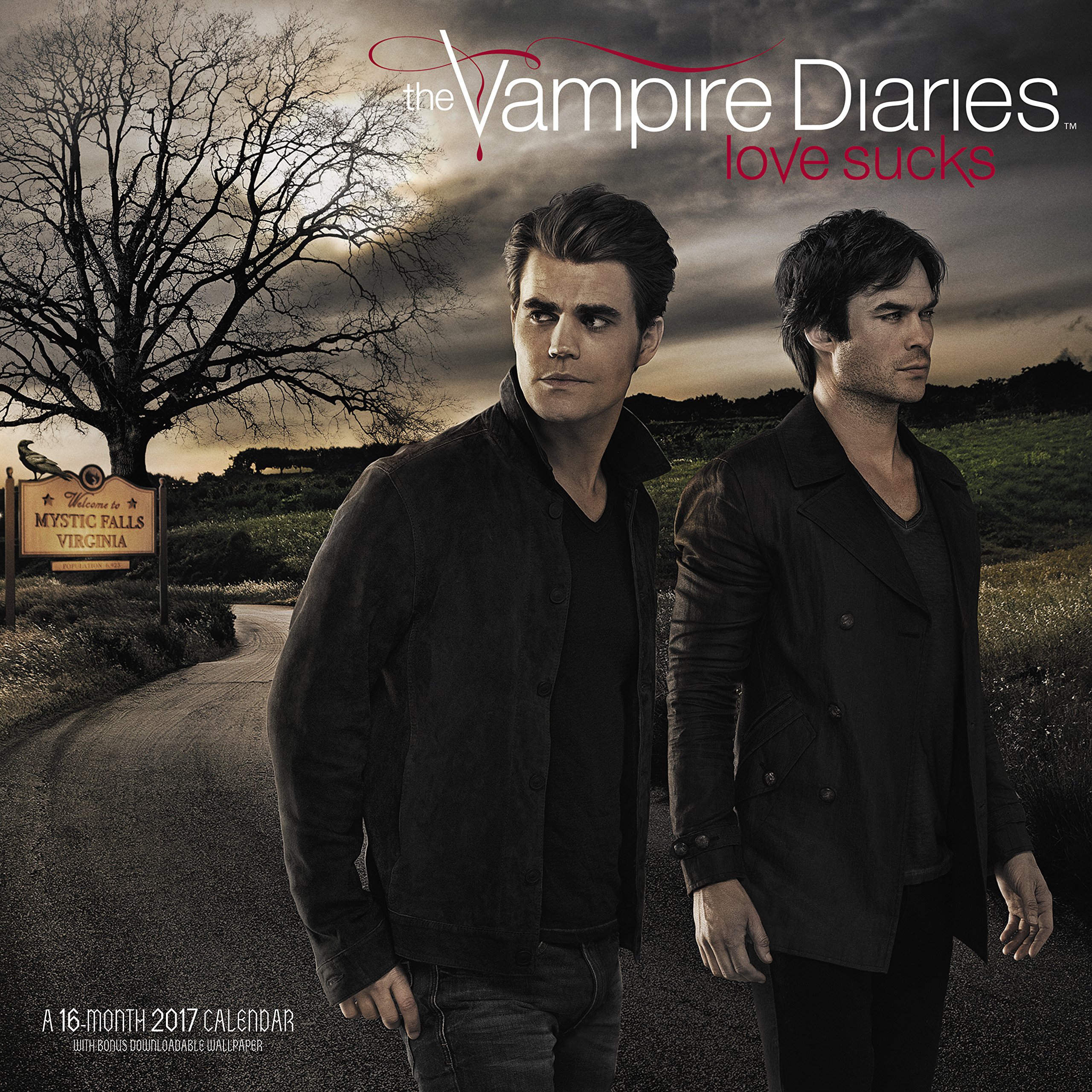 Download The Vampire Diaries Wall Calendar Calendar Wall Calendar ...