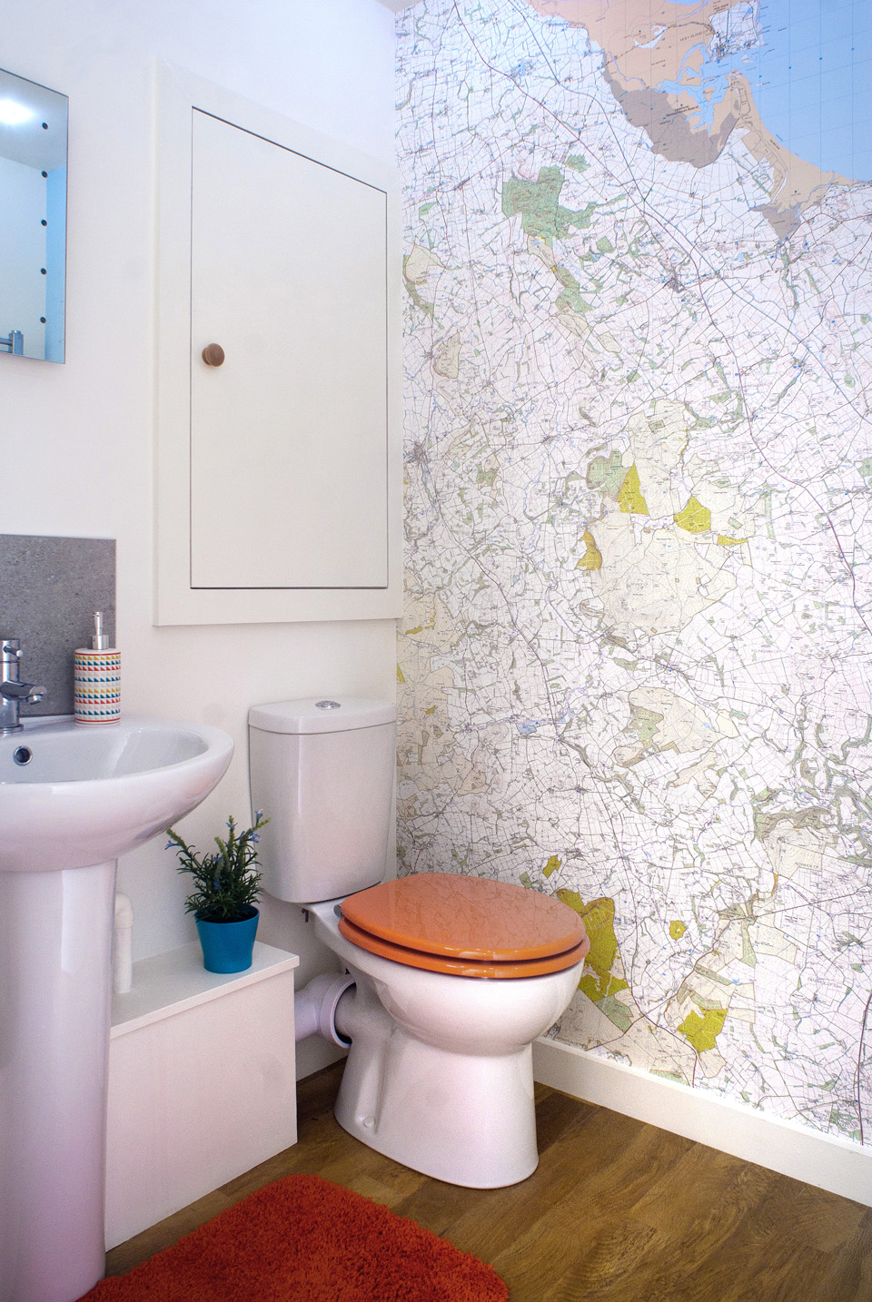 Rosebud Wc With Ordnance Survey Map Wallpaper - Bathroom (#2006935 ...
