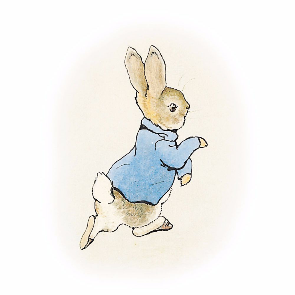 Peter Rabbit Animation 5k Hd Wallpapers > - Peter Rabbit Drawing ...