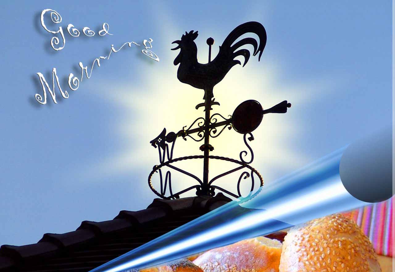 Good Morning High Definition New Large Images - Rooster (#2017986) - HD ...