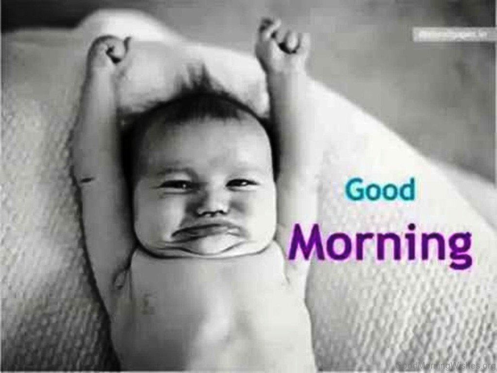 Cute Funny Good Morning - Very Funny Good Morning (#2018173) - HD ...