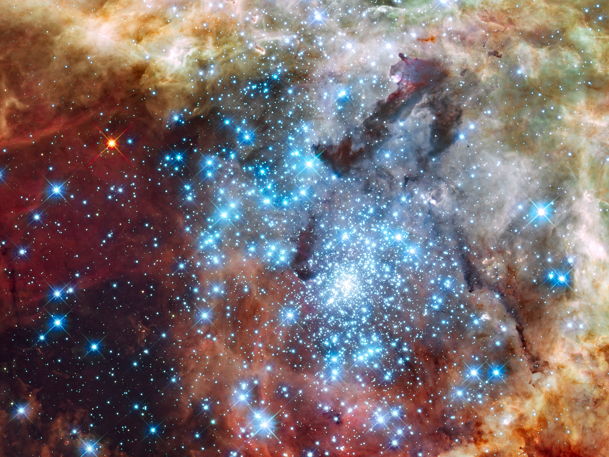 Star Cluster R136 (#2078781) - HD Wallpaper & Backgrounds Download