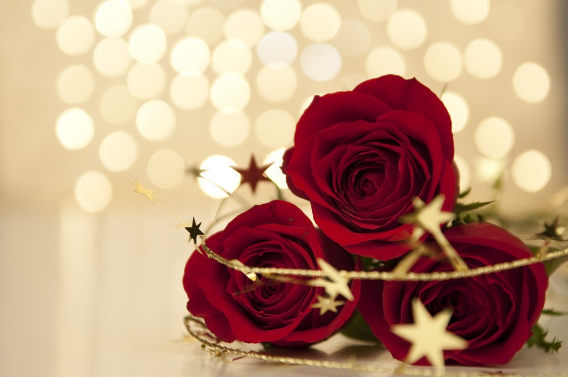Golden Rose Wallpaper - Red And Golden Rose (#2079823) - HD Wallpaper ...