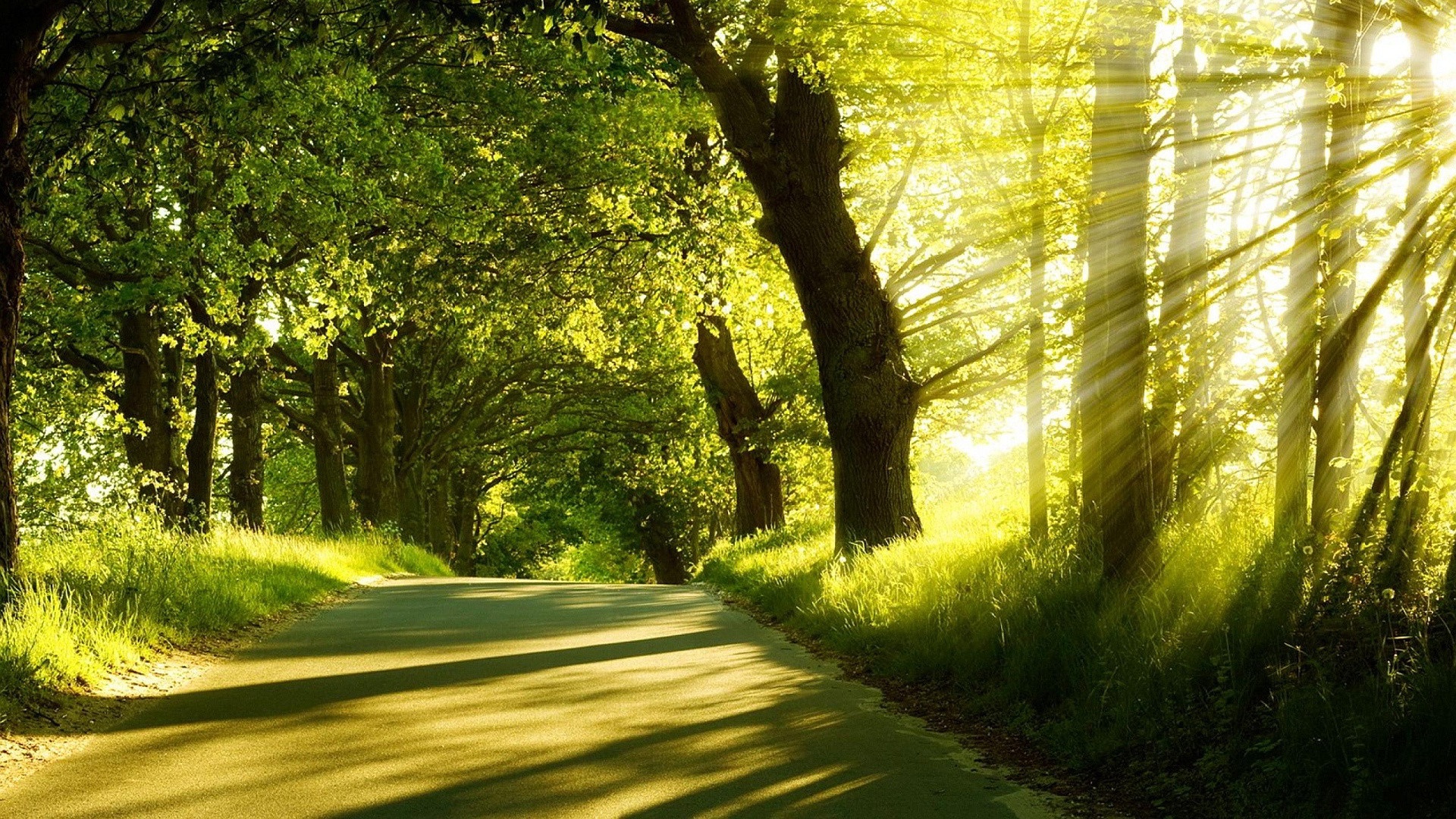 Summer Sky Hd Wallpapers 2 Summer Wallpaper Backgrounds - High ...