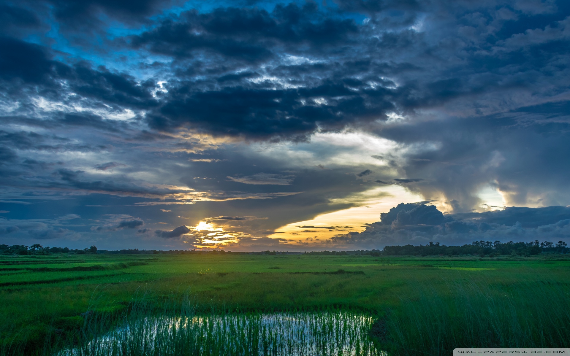 Wide 16 - - Wallpaper (#2102623) - HD Wallpaper & Backgrounds Download