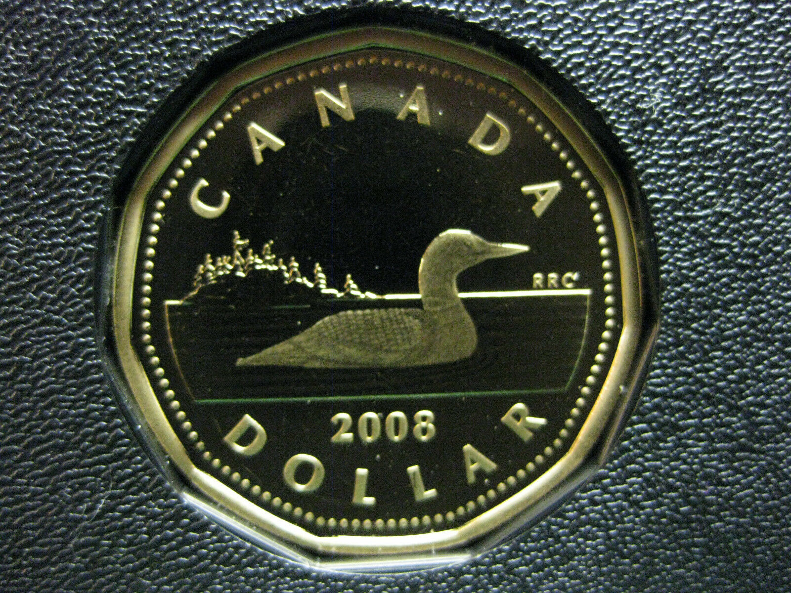 2008 Canadian Proof Loonie - Cash (#2119120) - HD Wallpaper ...