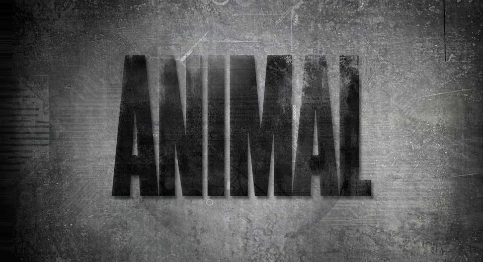 Universal Animal (#2130610) - HD Wallpaper & Backgrounds Download