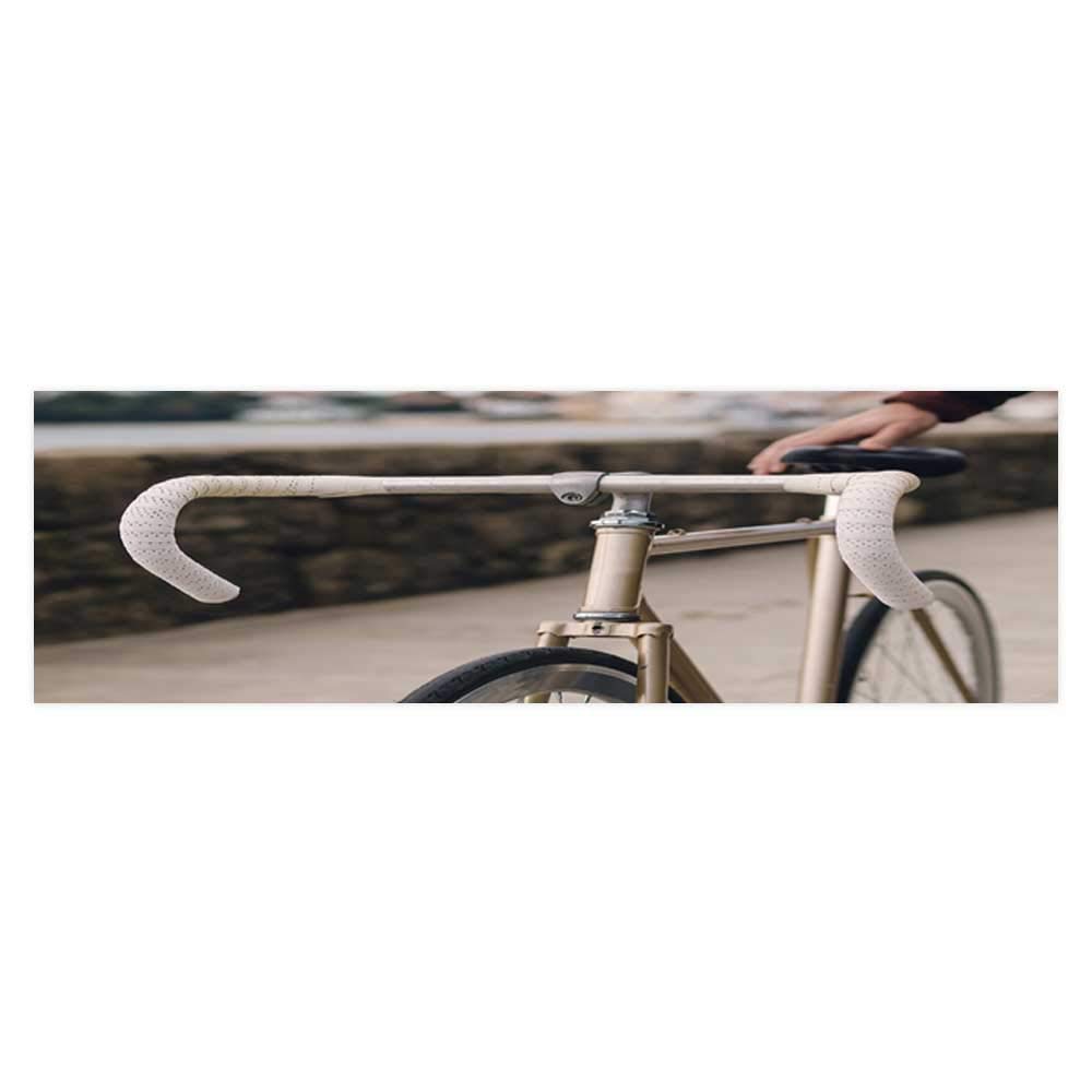 Dragonhome Fish Tank Poster Aquarium Background Backdrop - Bicycle ...