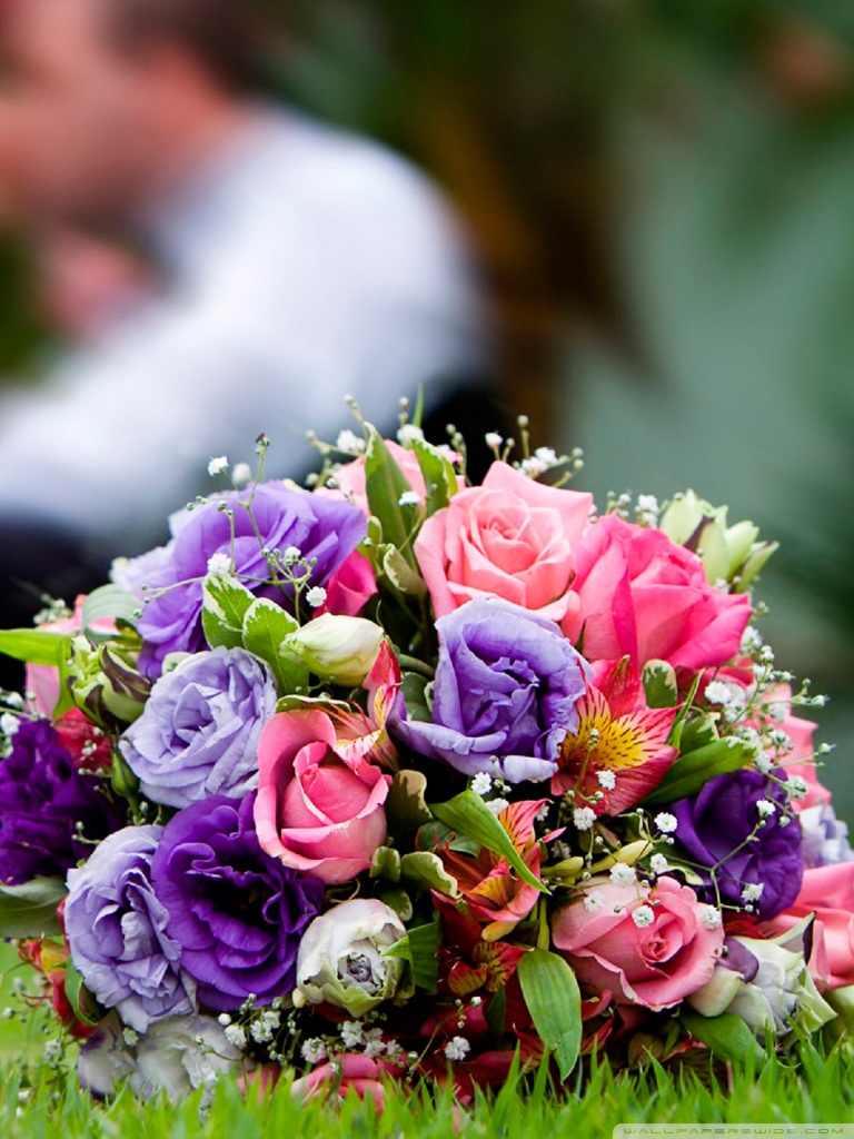 Ipad 1/2/mini - Rose In All Color (#2181589) - HD Wallpaper ...