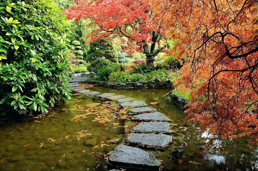 Japanese Garden Wall Garden Wall Mural Landscapes Japanese - Mural ...