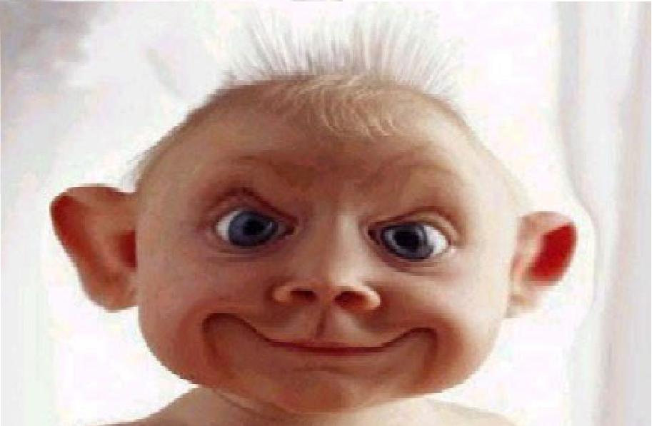 Very Funny Wallpapers - Sary Mampatahotra (#224256) - HD Wallpaper ...