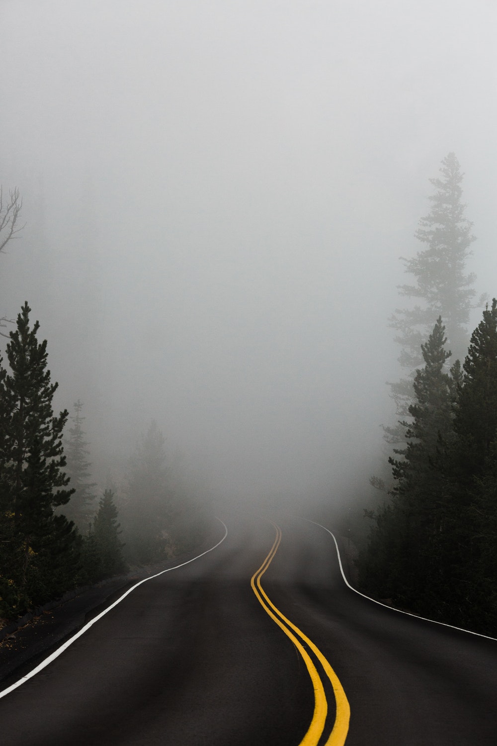 Beautiful Morning Fog Wallpaper - Smoke Road (#2210568) - HD Wallpaper ...