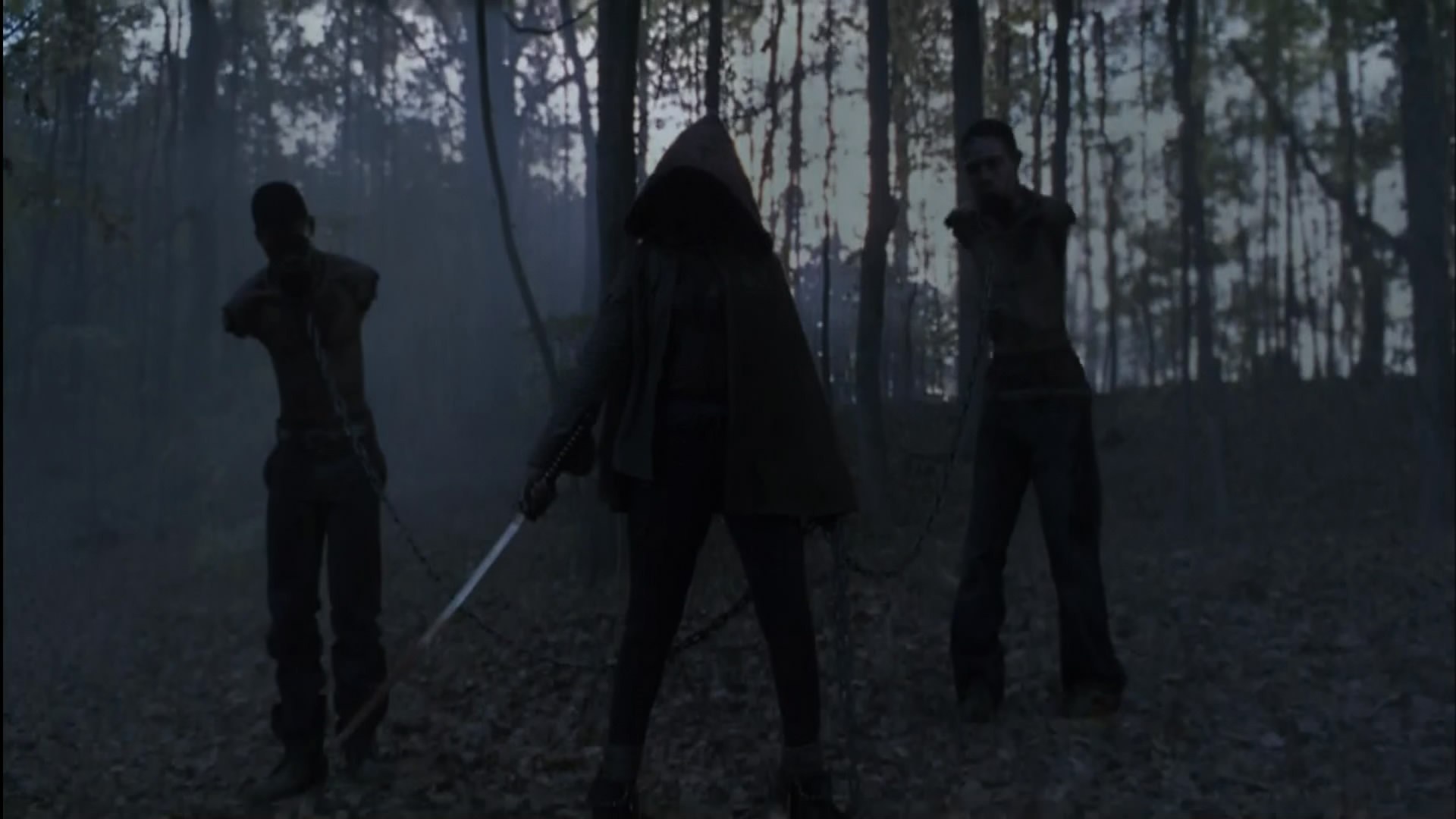 Michonne With Walkers Gif (#2238650) - HD Wallpaper & Backgrounds Download