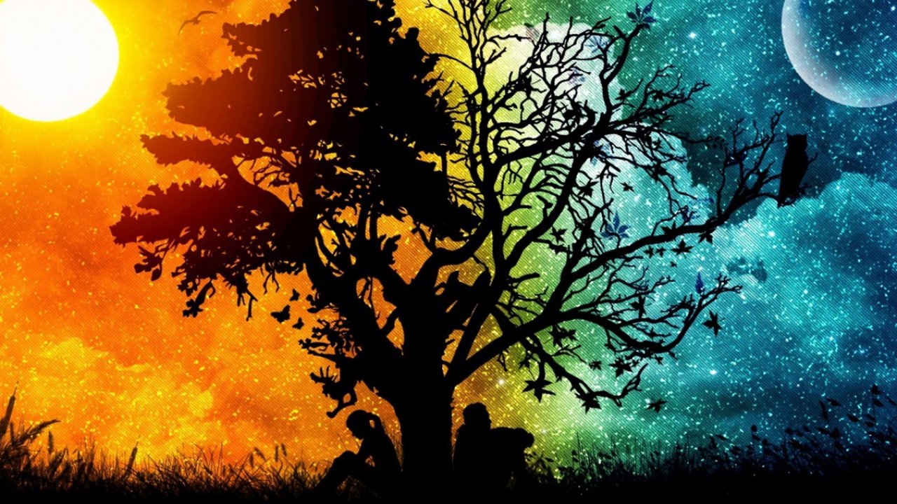 Night And Day Tree (#2262890) - HD Wallpaper & Backgrounds Download