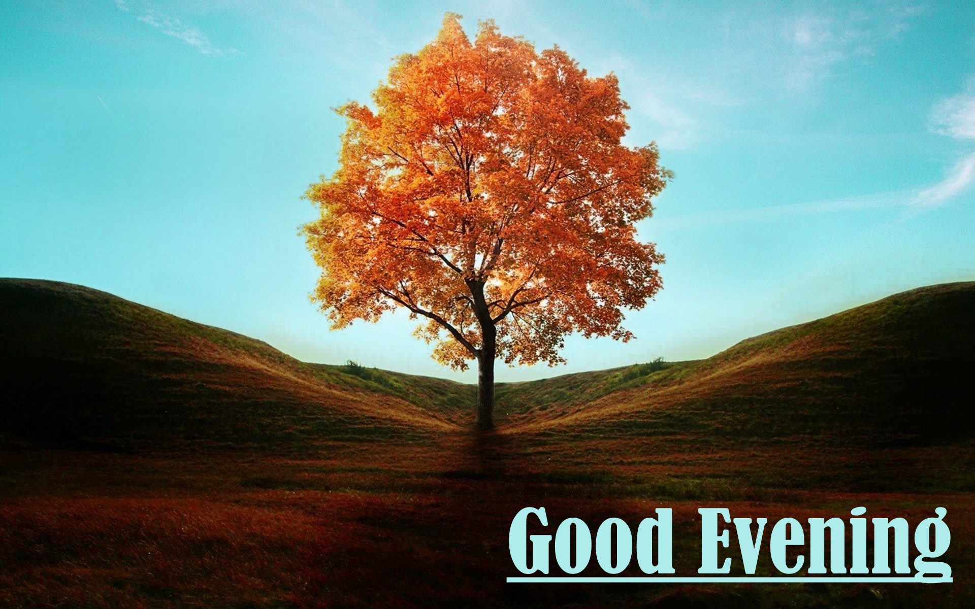 Good Evening Wallpaper (#2278358) - HD Wallpaper & Backgrounds Download