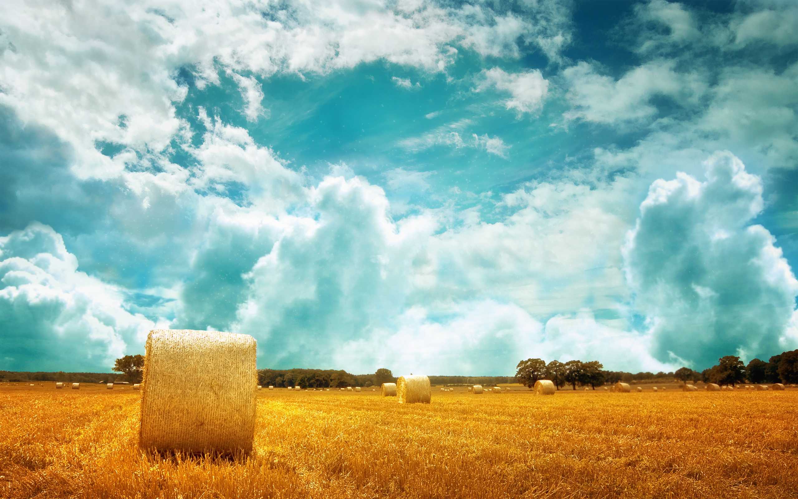Field Backgrounds (#2297967) - HD Wallpaper & Backgrounds Download