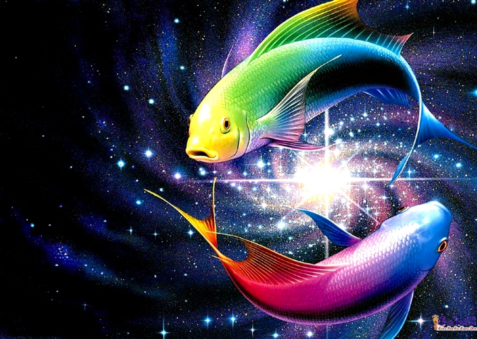Fish Wallpaper Hd Free Goldfish Wallpapers Download Free