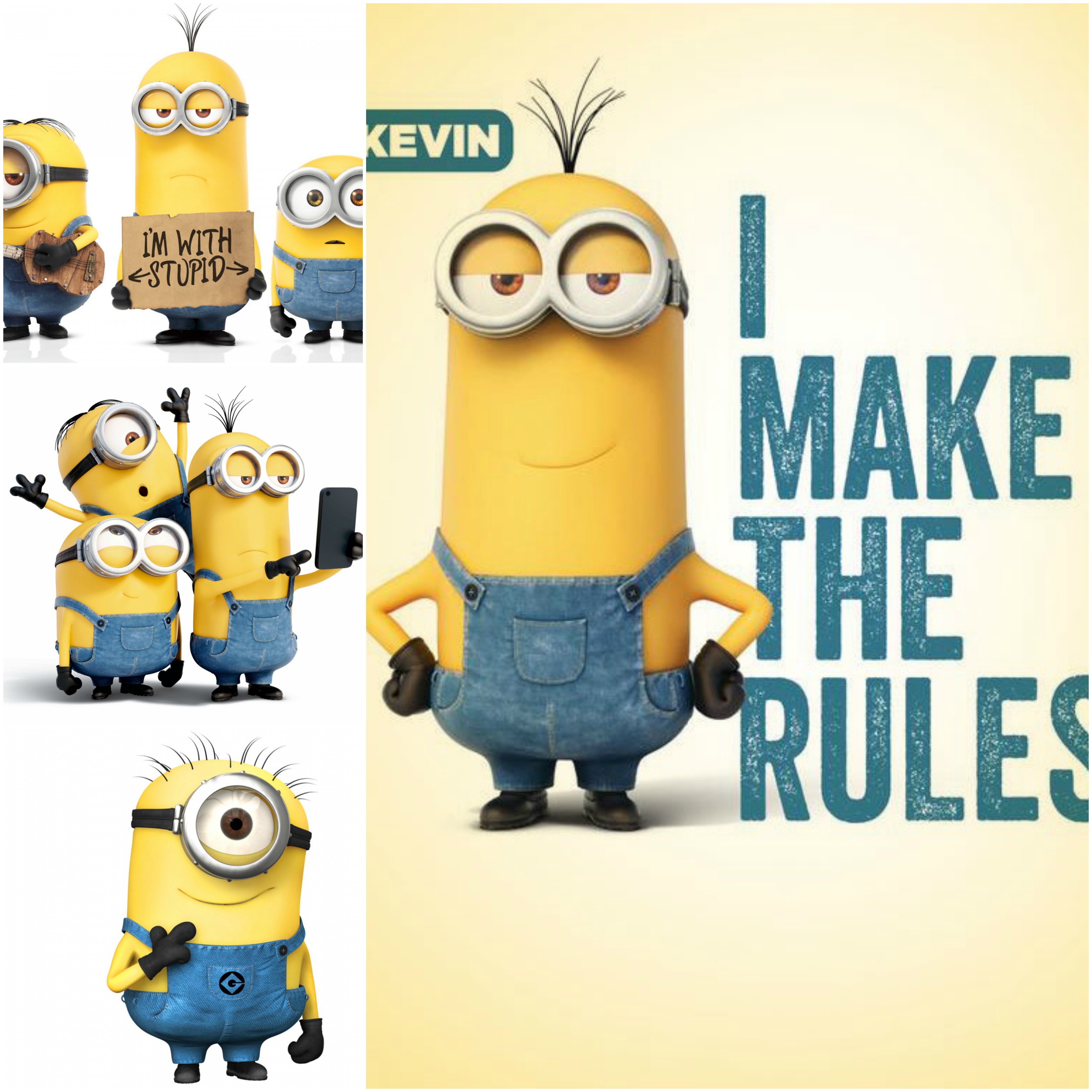 Make The Rules Minion (#2416061) - HD Wallpaper & Backgrounds Download