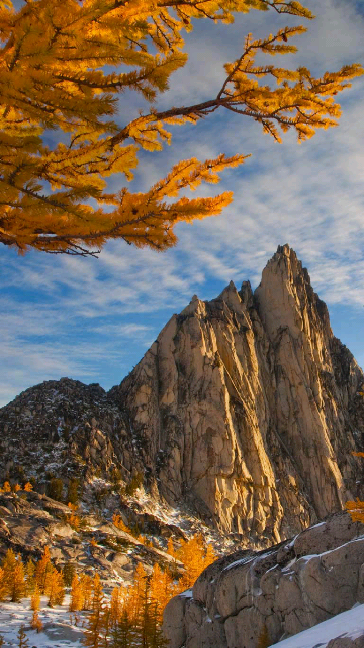 29 Most Beautiful Bing Wallpapers For Android Phones - Enchantments ...