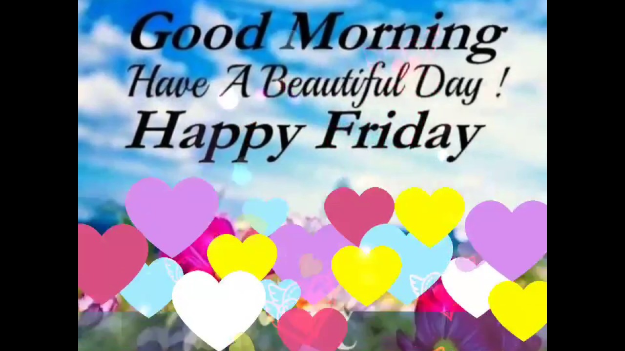 Perl 6 (#2453069) - HD Wallpaper & Backgrounds Download