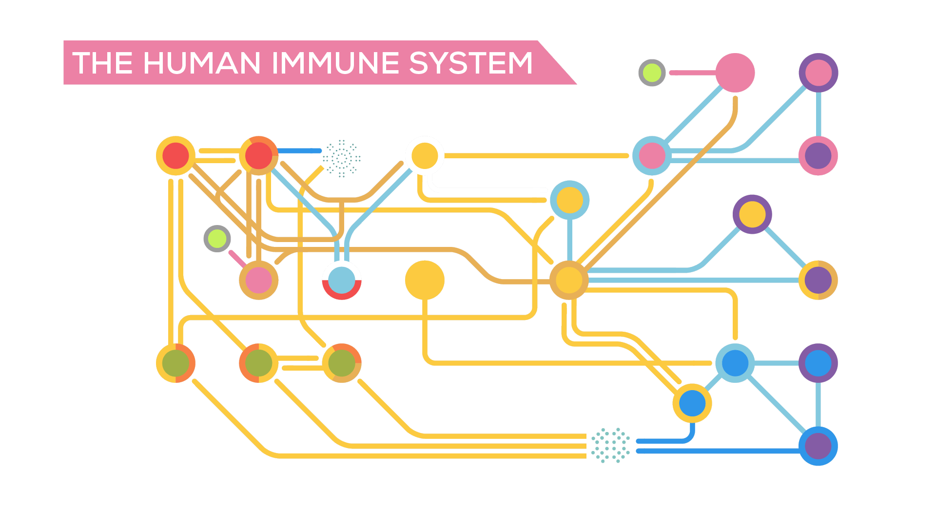 Immune System Kurzgesagt (#2464832) - HD Wallpaper & Backgrounds Download