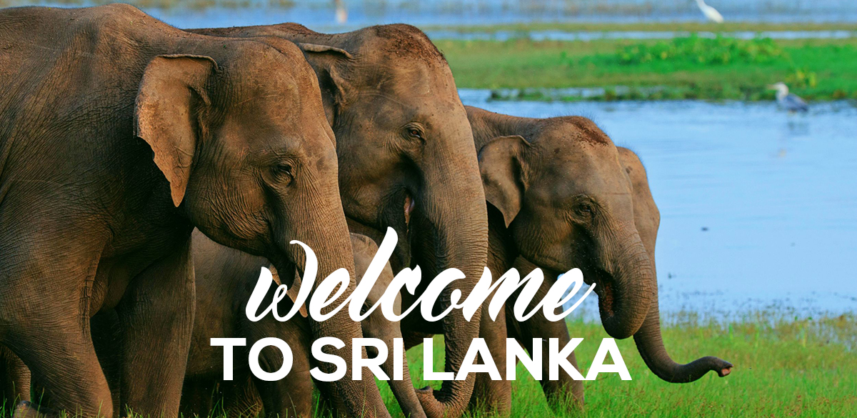 Welcome To Sri Lanka (#2473088) - HD Wallpaper & Backgrounds Download