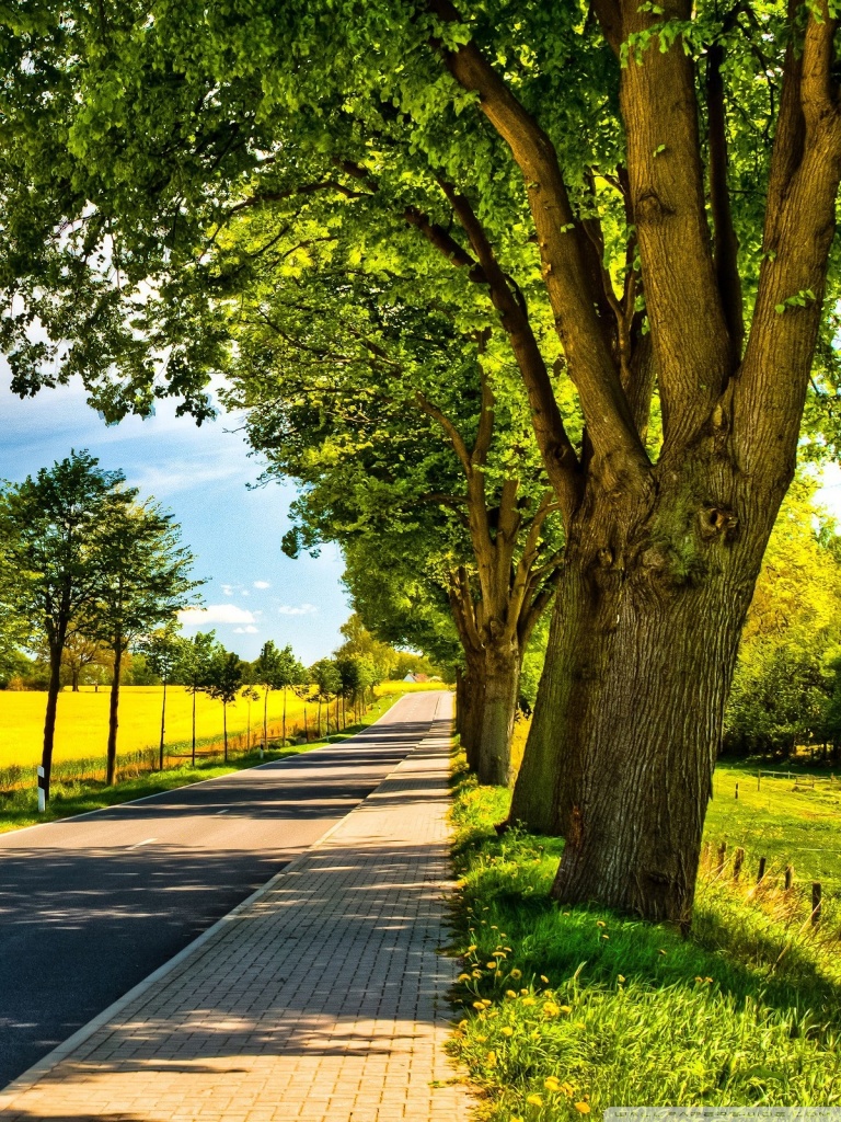 Zedgehd Nature Hd 240x320 Wallpapers