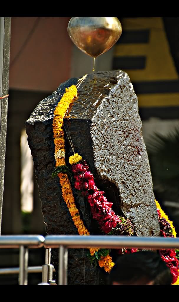 Shrine Of Shani - Full Hd Shani Shingnapur Shani Dev (#2525246) - HD ...
