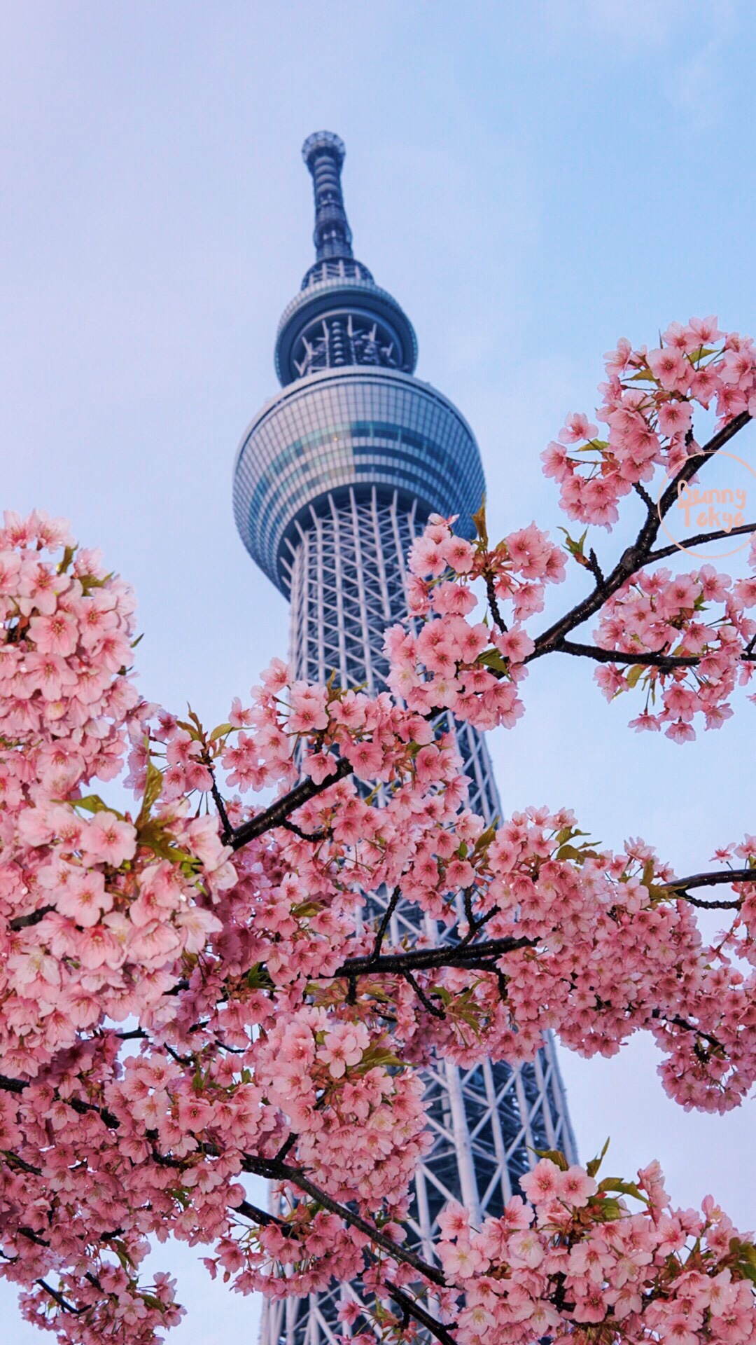 Tokyo Skytree (#2543185) - HD Wallpaper & Backgrounds Download
