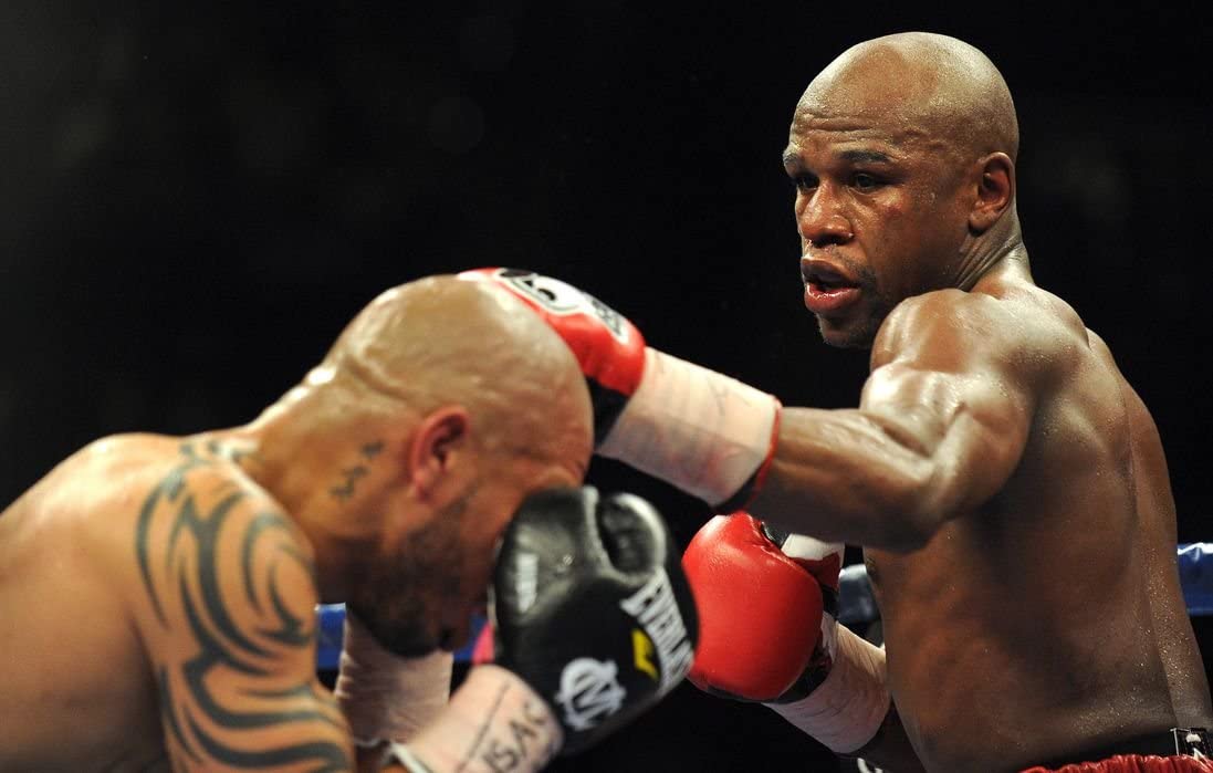 Professional Boxing (#2604079) - HD Wallpaper & Backgrounds Download