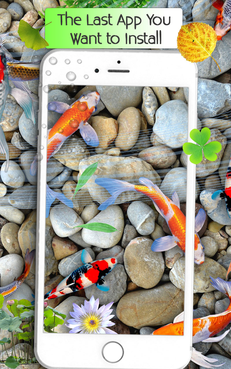 Live Fish Wallpapers Hd - Pebble (#283706) - HD Wallpaper & Backgrounds ...