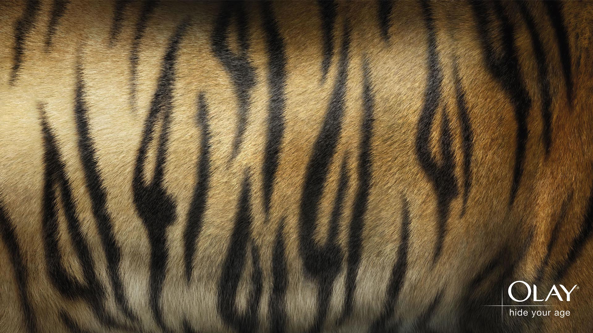 Hide Your Age Olay (#2846325) - HD Wallpaper & Backgrounds Download