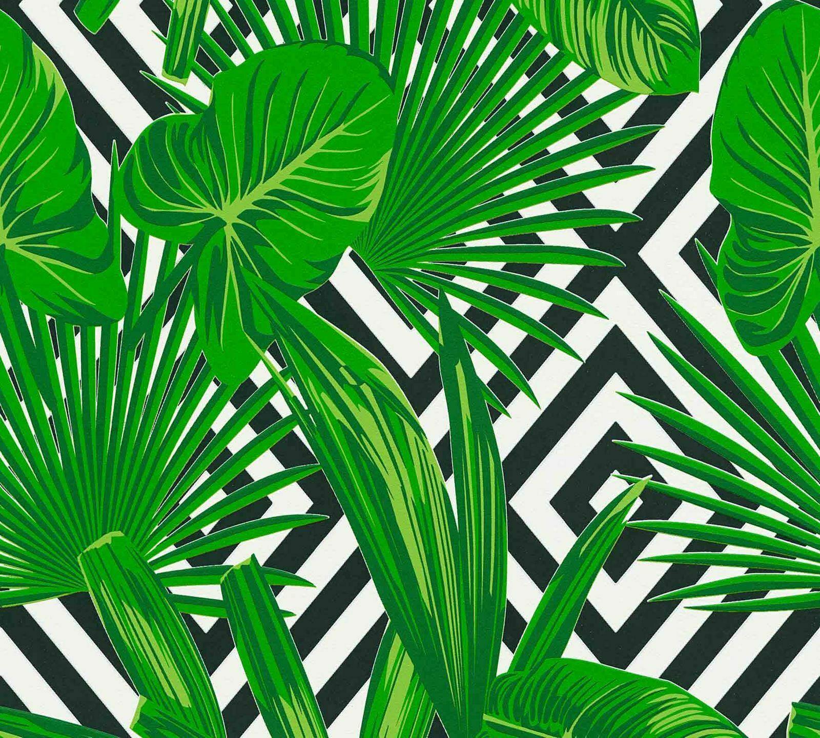 Tropical Leaf (#2850145) - HD Wallpaper & Backgrounds Download