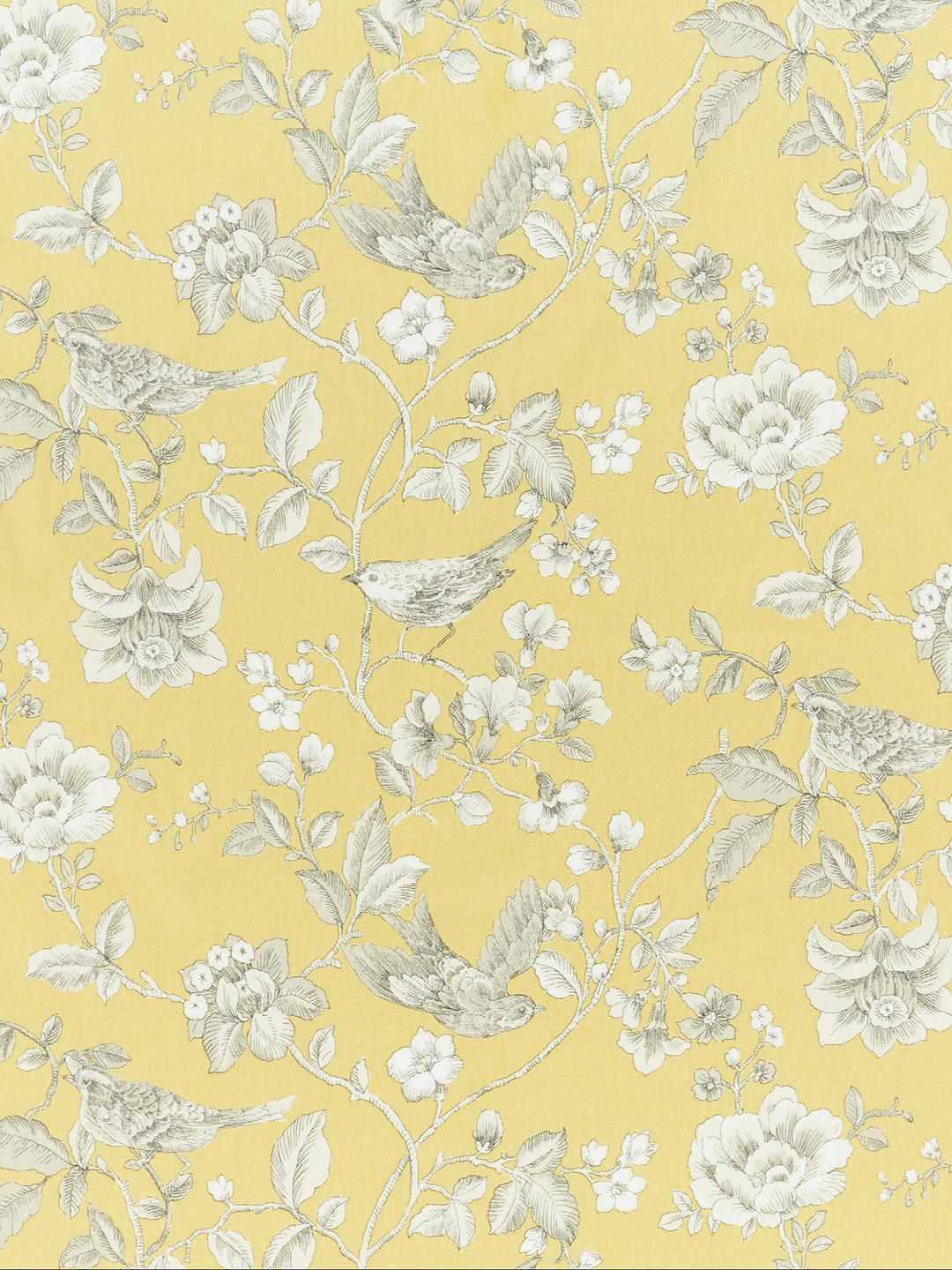 John Lewis Nightingale (#2870116) - HD Wallpaper & Backgrounds Download