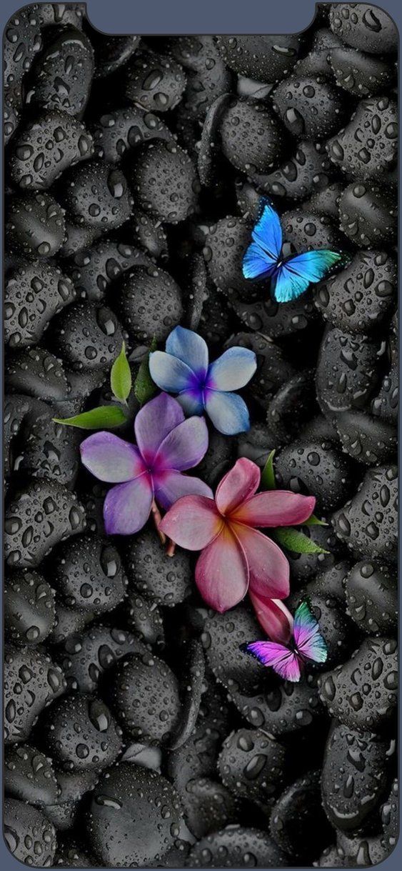 Decent Wallpaper For Mobile (#2877575) - HD Wallpaper & Backgrounds ...