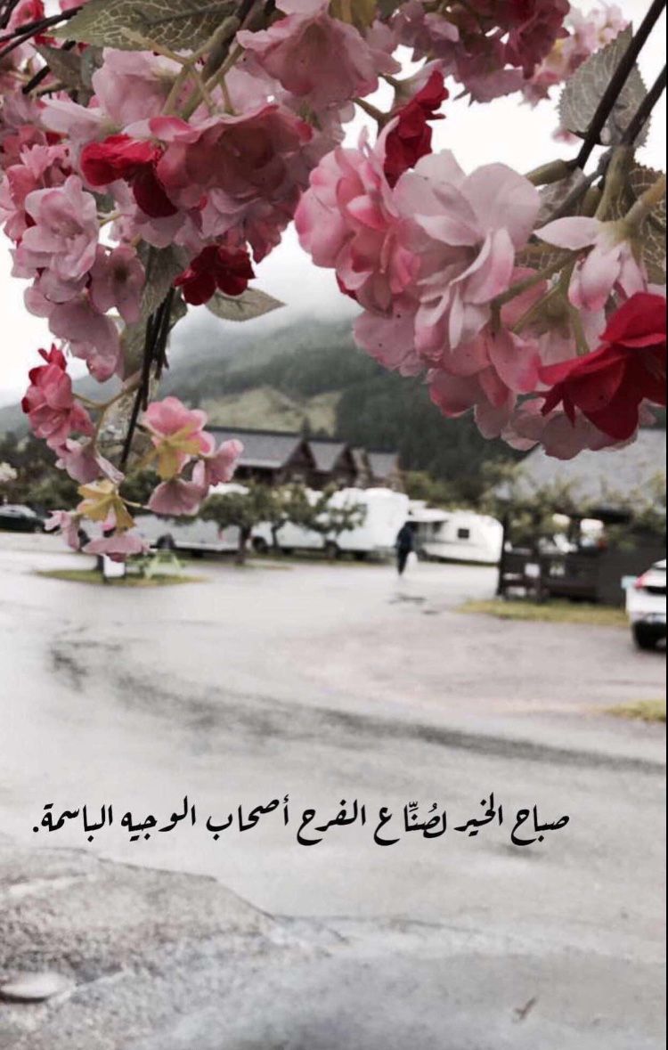 Nice Arabic (#2877585) - HD Wallpaper & Backgrounds Download