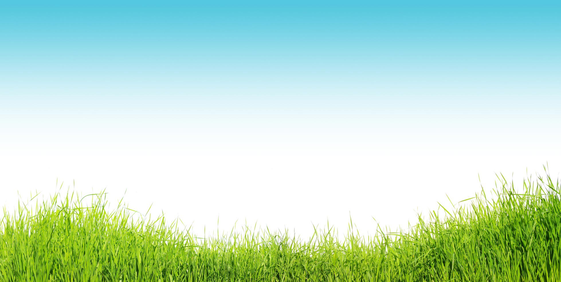 Sweet Grass (#2883381) - HD Wallpaper & Backgrounds Download