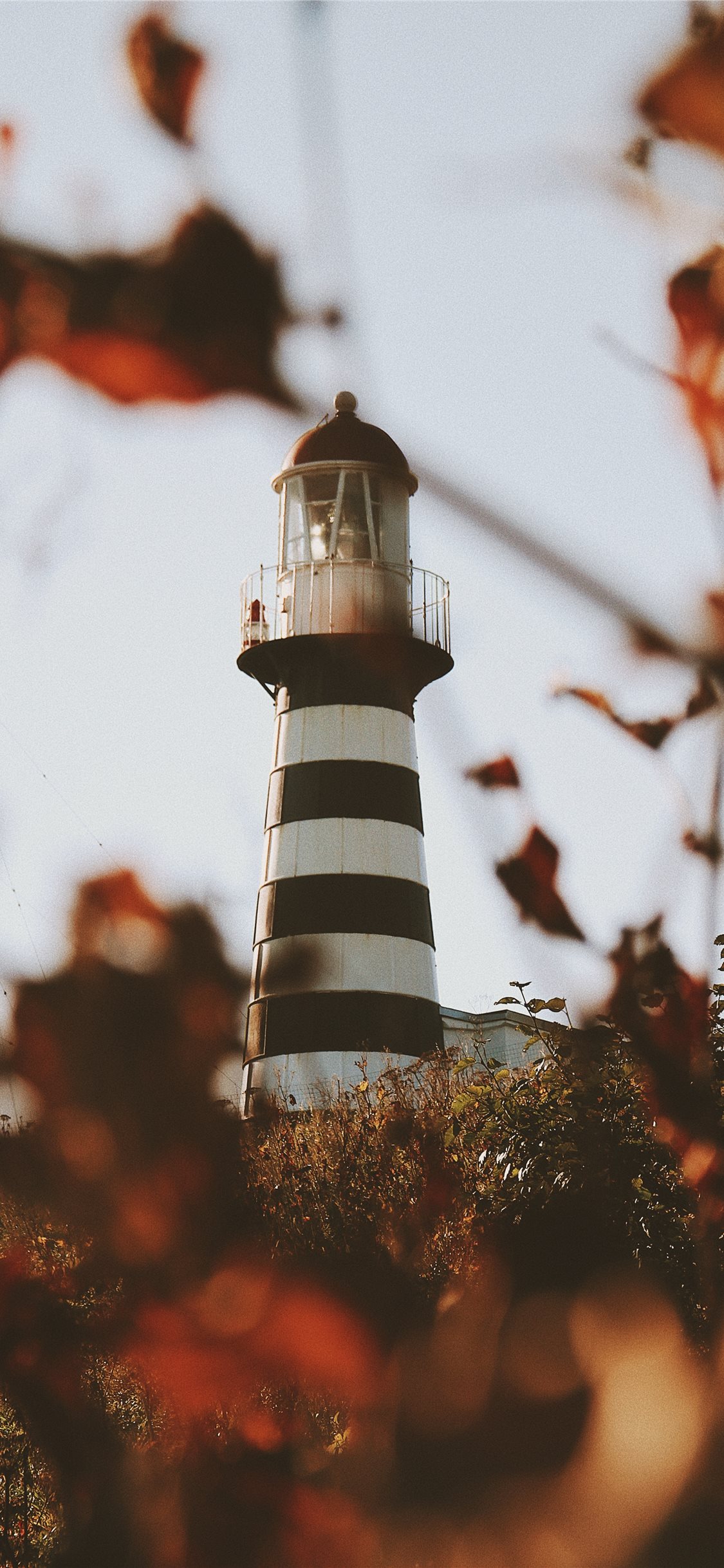 Iphone 11 Pro Lighthouse (#2894145) - HD Wallpaper & Backgrounds Download