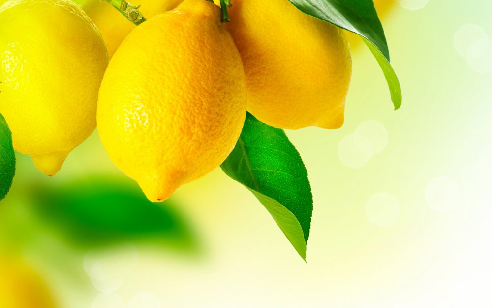 High Resolution Lemon Hd (#2895273) - HD Wallpaper & Backgrounds Download